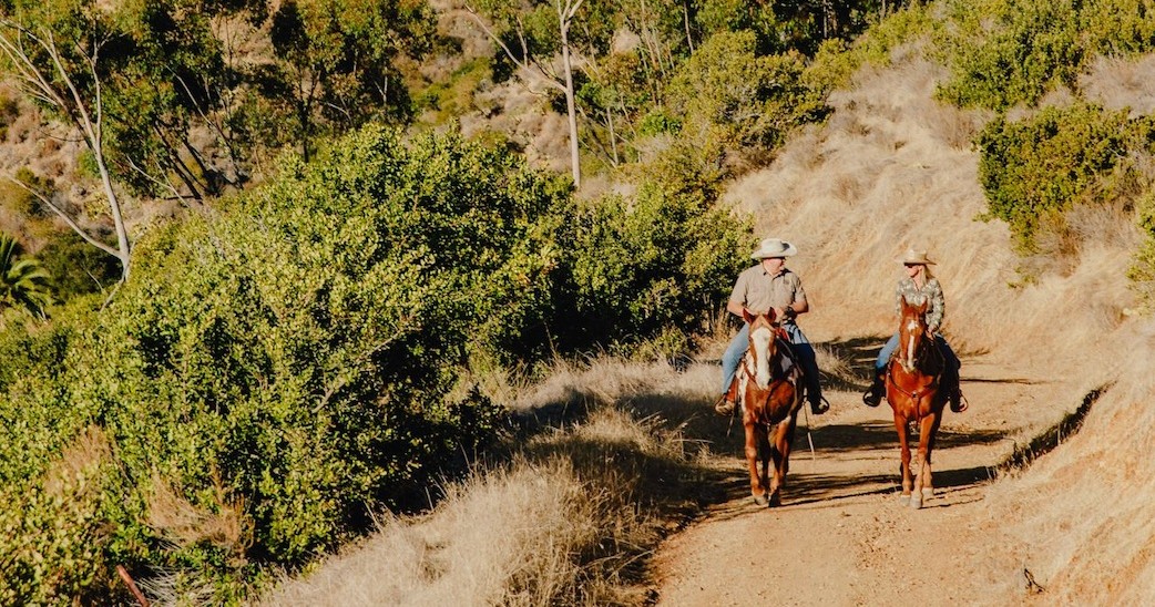 Horse Trail and Canyon Group Ride | Catalina Island Horseback Adventures
